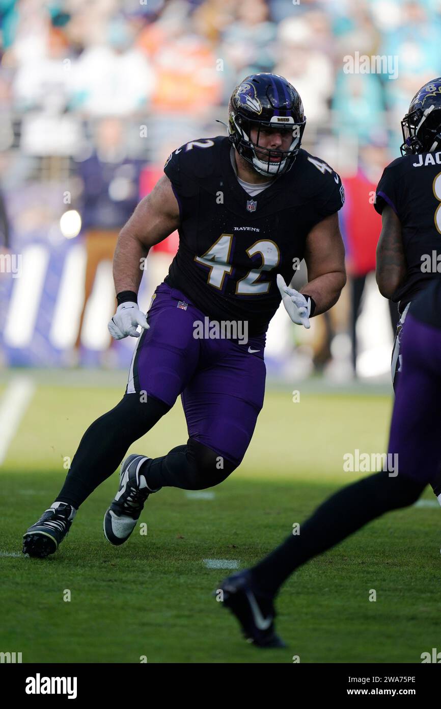 Baltimore Ravens fullback Patrick Ricard (42) during an NFL football ...