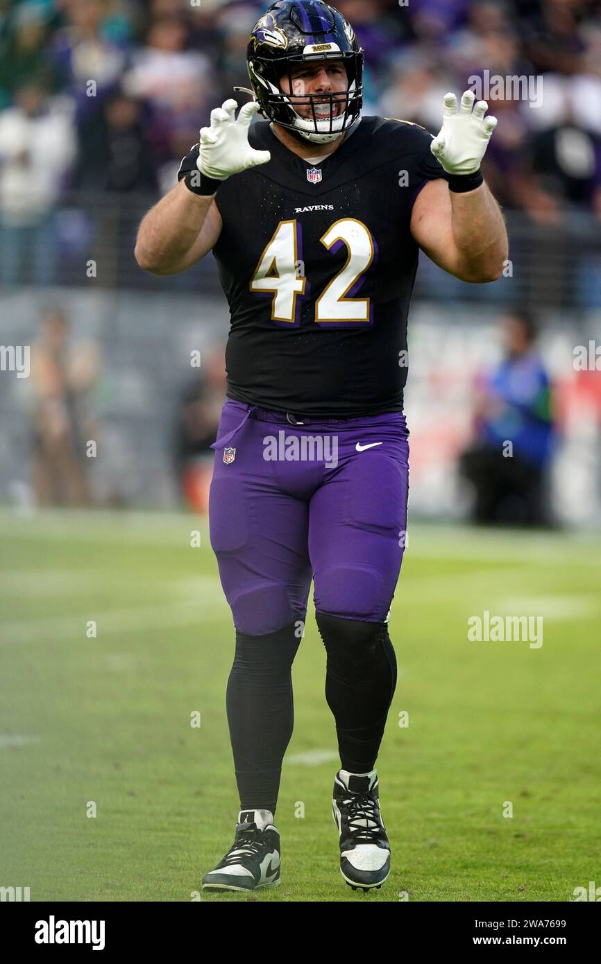 Baltimore Ravens fullback Patrick Ricard (42) during an NFL football ...