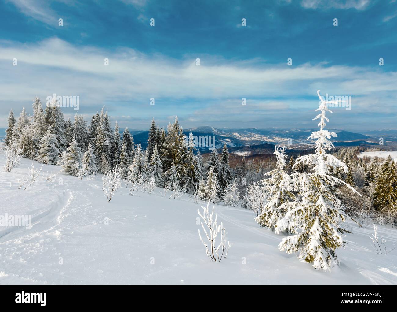 Winter calm mountain landscape with beautiful frosting trees and ski ...