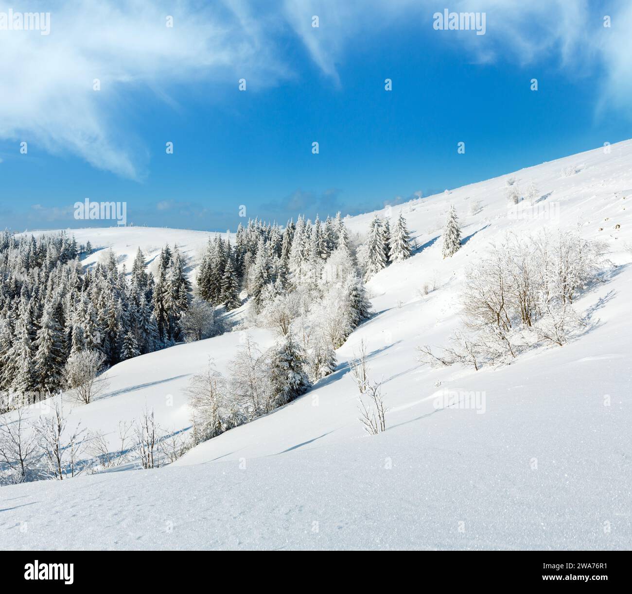 Winter calm mountain landscape with beautiful frosting trees and ...