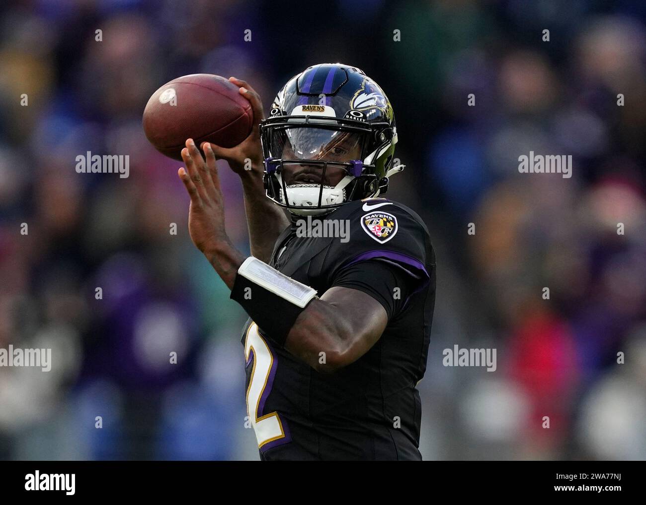 Baltimore Ravens quarterback Tyler Huntley in action during an NFL ...