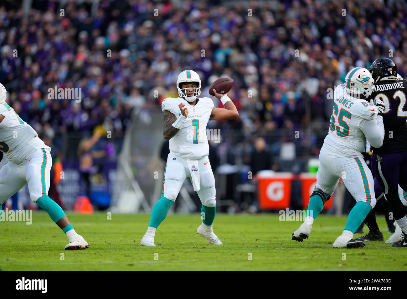 Miami Dolphins quarterback Tua Tagovailoa during an NFL football game ...