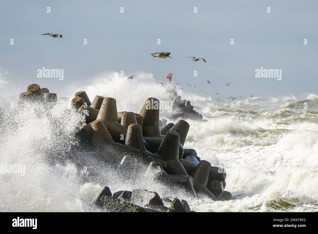 High waves crash against the concrete tetrapods of the harbor ...