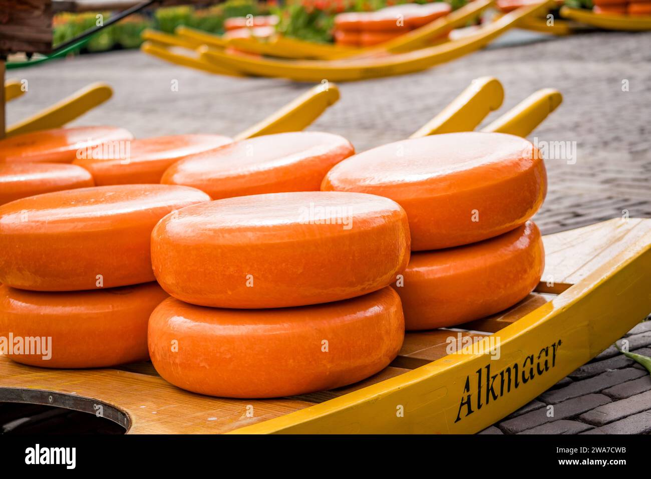 whole gouda cheese on wooden barrows at alkmaar cheese market Stock ...