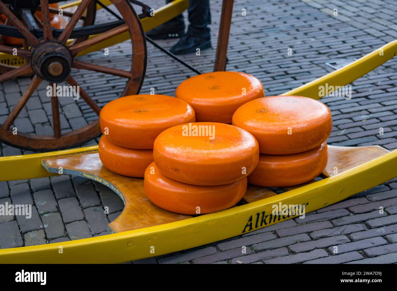 whole cheese body on barrows at alkmaar cheese market Stock Photo - Alamy
