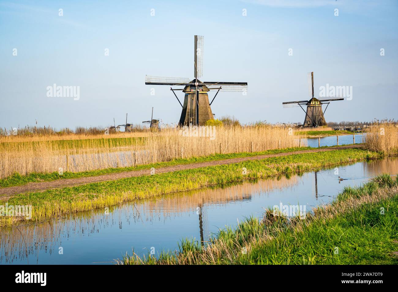 dutch windmill in the country Stock Photo - Alamy