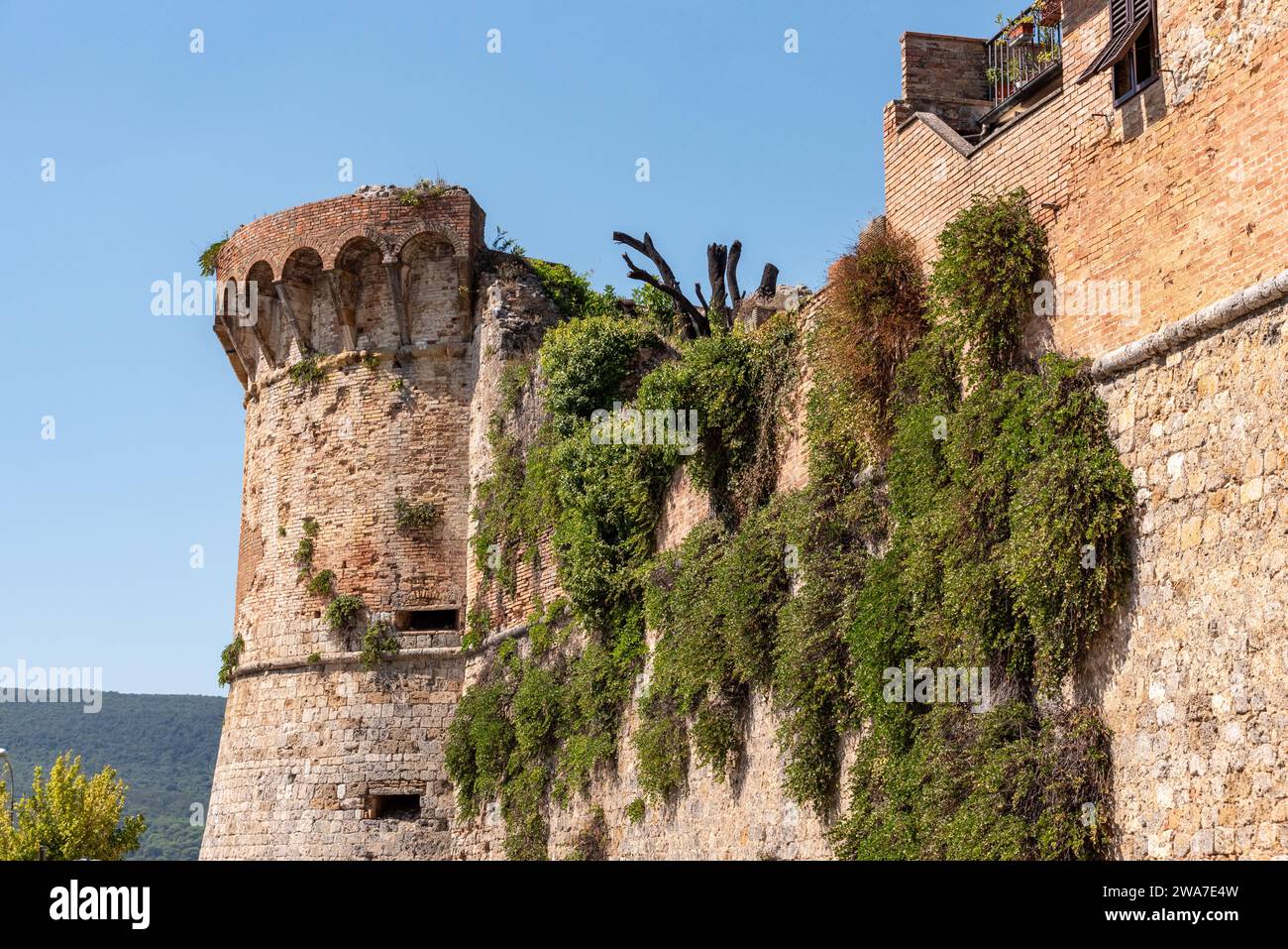 Old overgrown fortification wall hi-res stock photography and images ...
