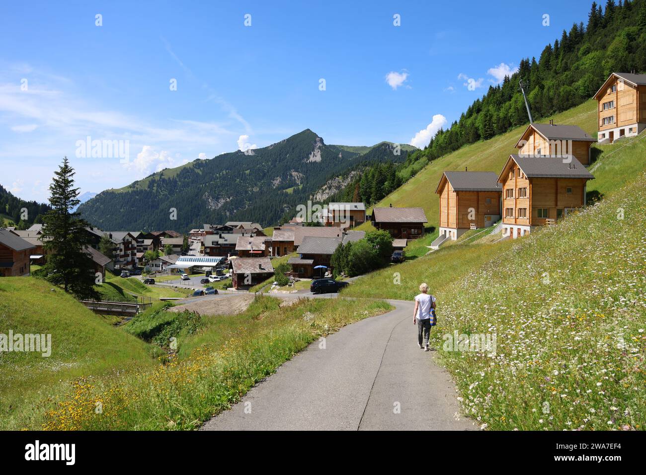 Walking down the mountain to Malbun Stock Photo - Alamy