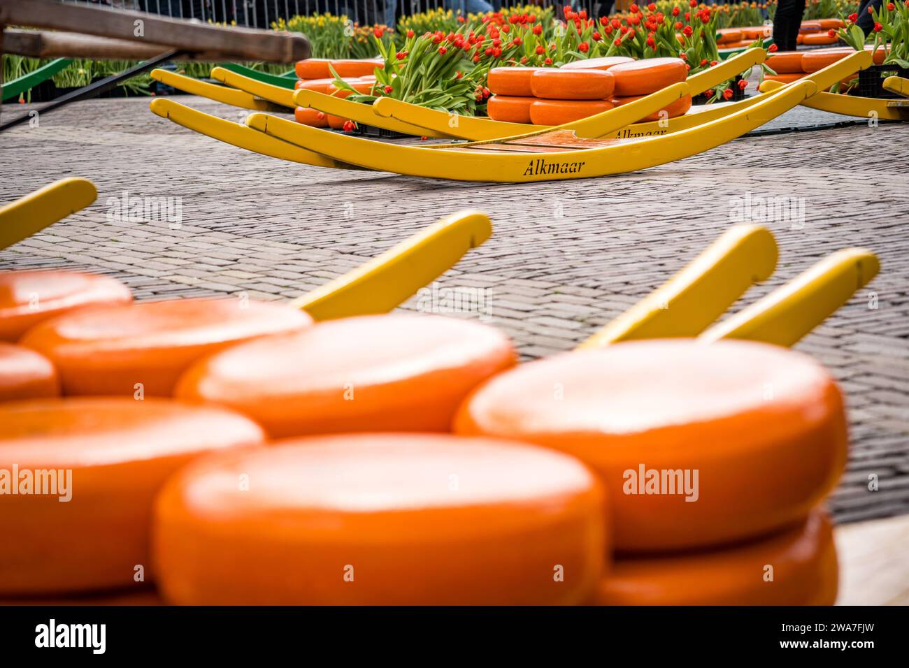 Cheese wheel loaf of bread hi-res stock photography and images - Alamy