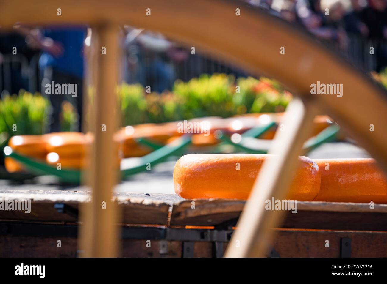 Cheese wheel loaf of bread hi-res stock photography and images - Alamy