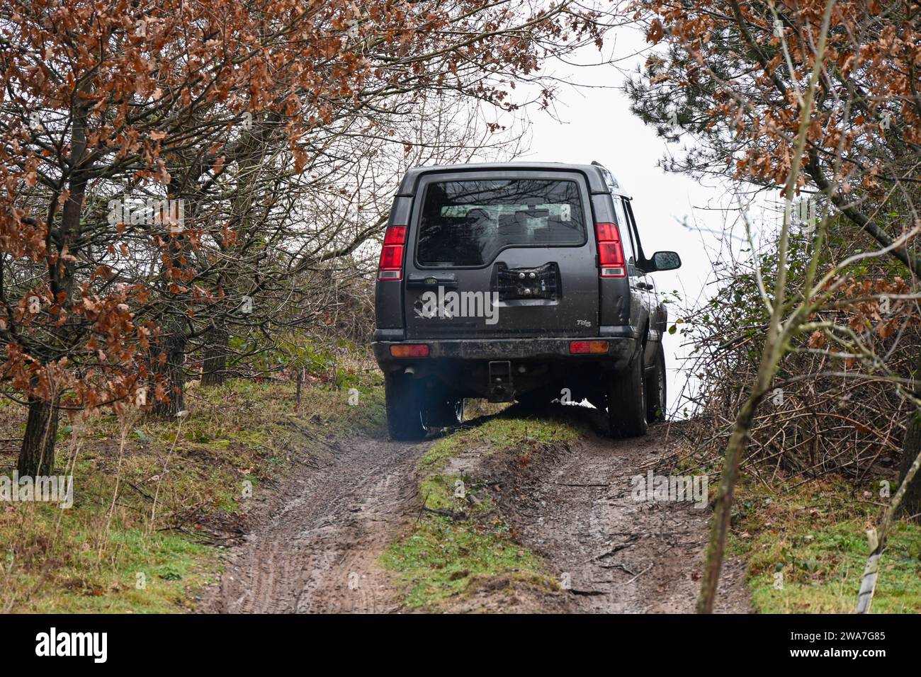 4x4 Off Roading experience in a Green Landrover Discovery vehicle, 4 by ...