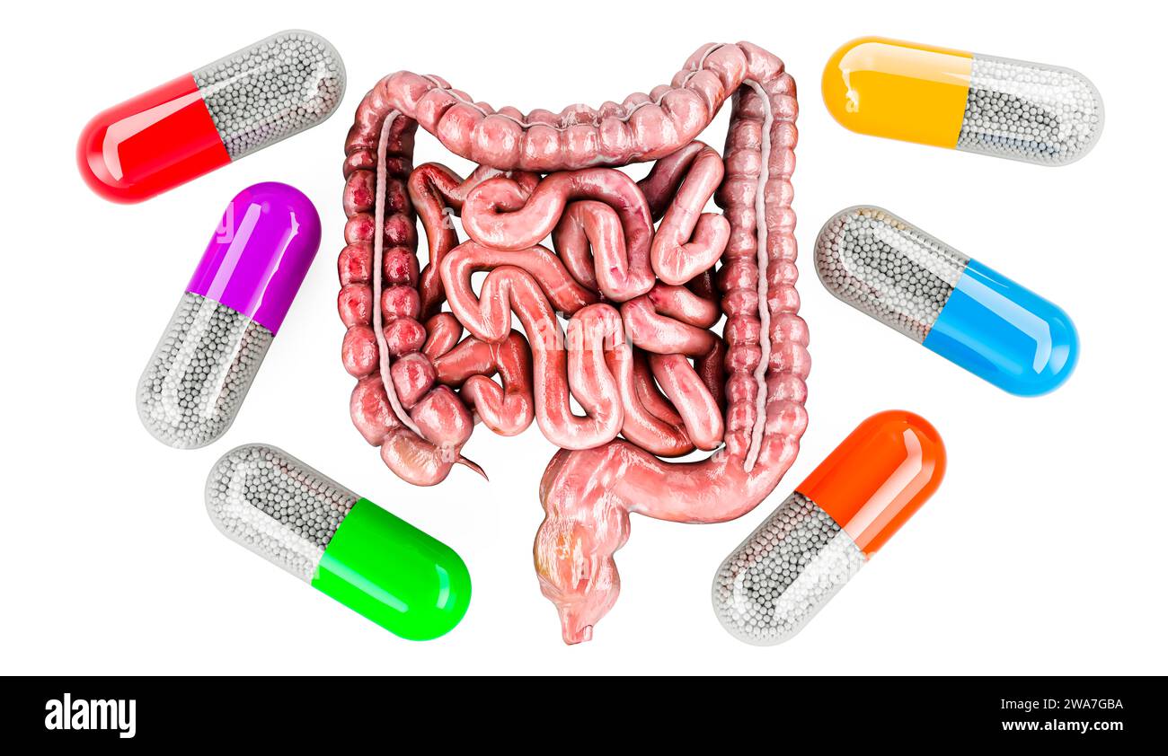 Human intestines with medicine capsules around. Bowel and drugs concept ...