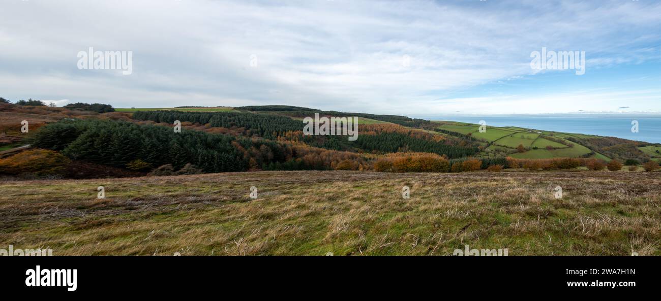 Panoramic photo of the autumn colours on Porlock Common at the top of ...
