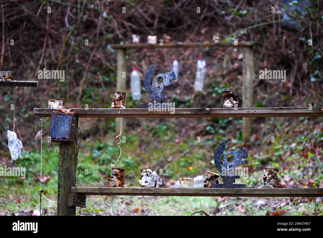 Squirrel shooting old hi-res stock photography and images - Alamy