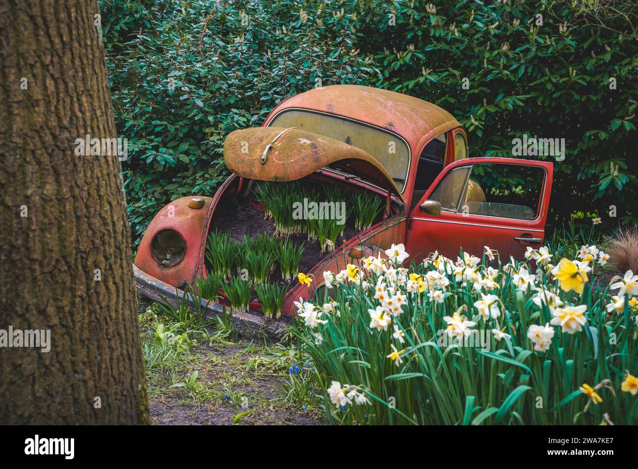 Old curtilage hi-res stock photography and images - Alamy