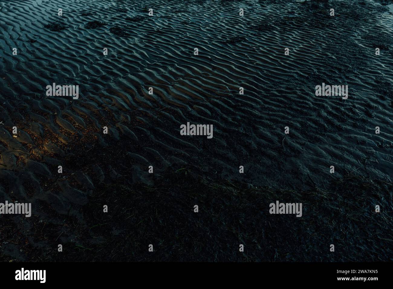 sand waves, dark blue ripples in sand on Pacific Northwest beach Stock ...