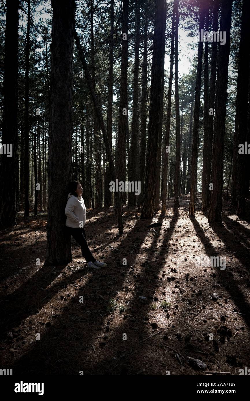 Teenage woman standing in the forest with pine trees. Bright sun light ...
