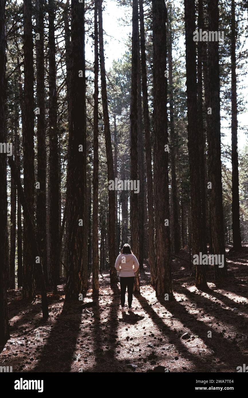 Teenage woman walking in the forest with tall pine trees. Healthy ...