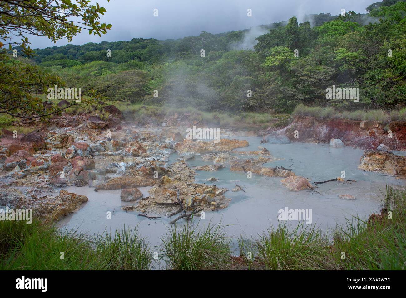 Volcanic fumaroles. Las Pailas trail, Rincon de la Vieja National Park ...