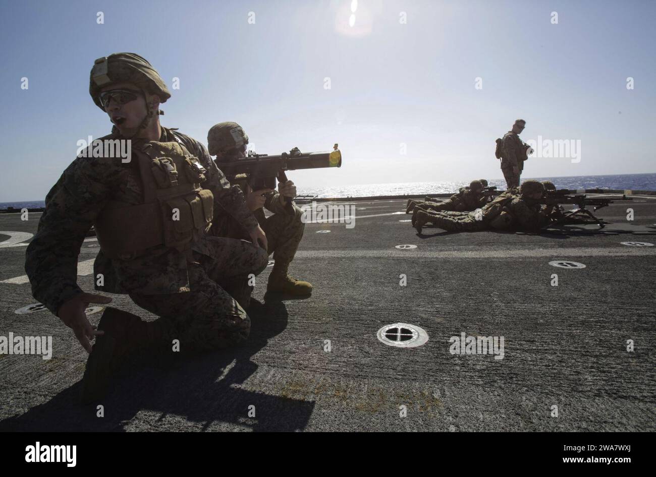 Smaw hi-res stock photography and images - Alamy