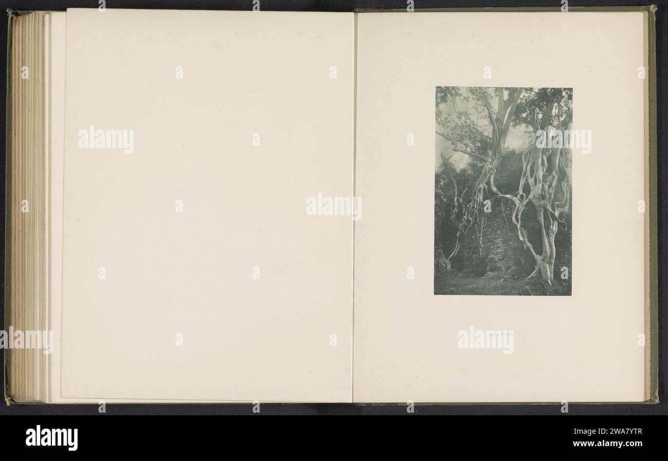 Kotuwa, Henry William Cave, 1896 photomechanical print Polonnaruwa ...