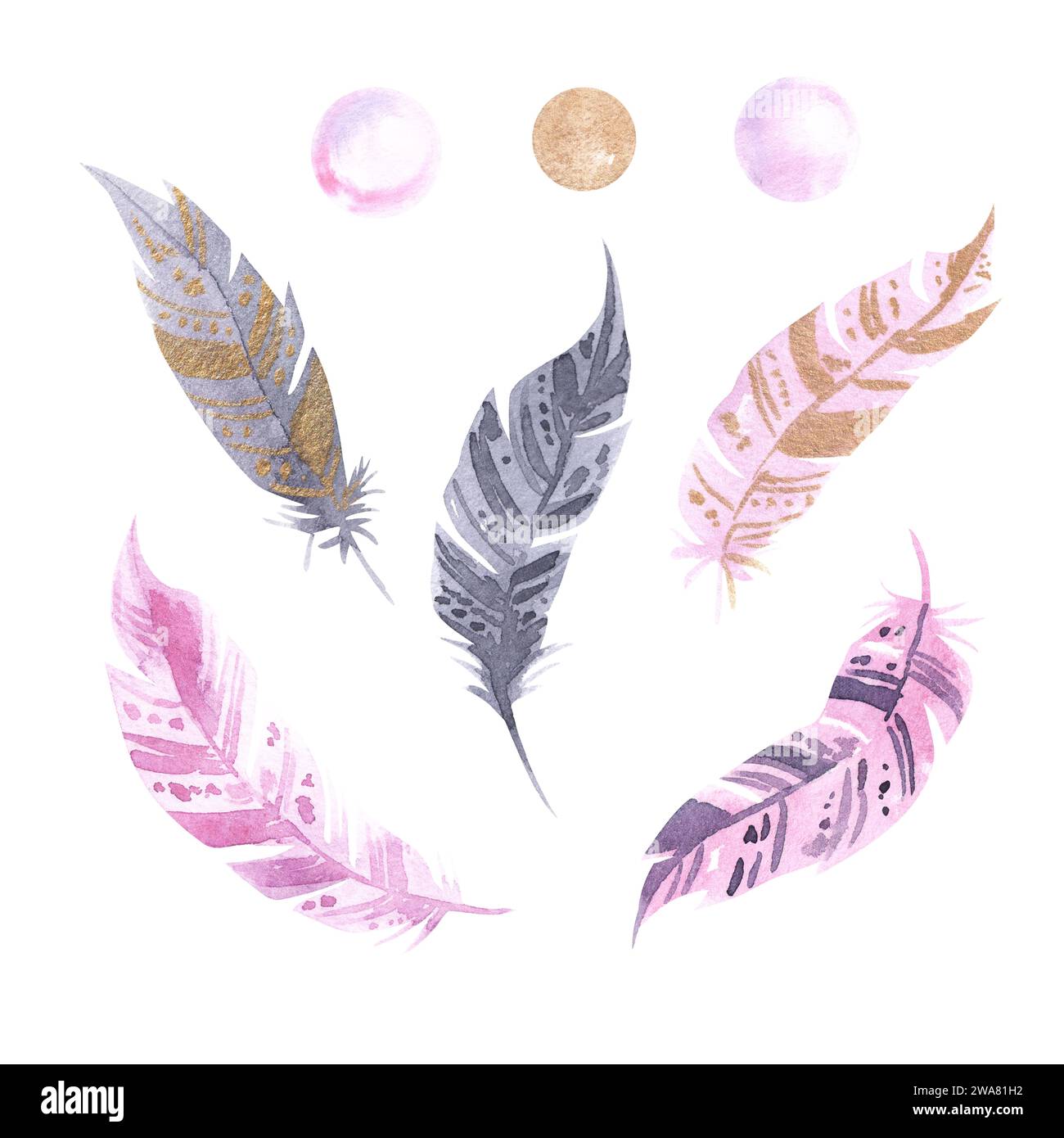 Watercolor vibrant feather set. Hand drawn illustration isolated on ...