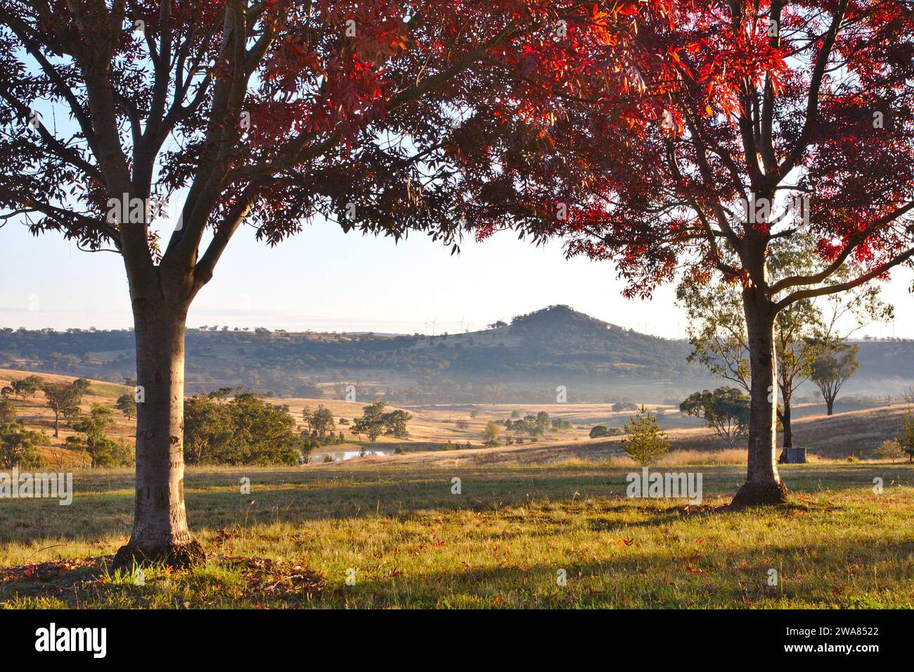 Australian farm scene hi-res stock photography and images - Alamy