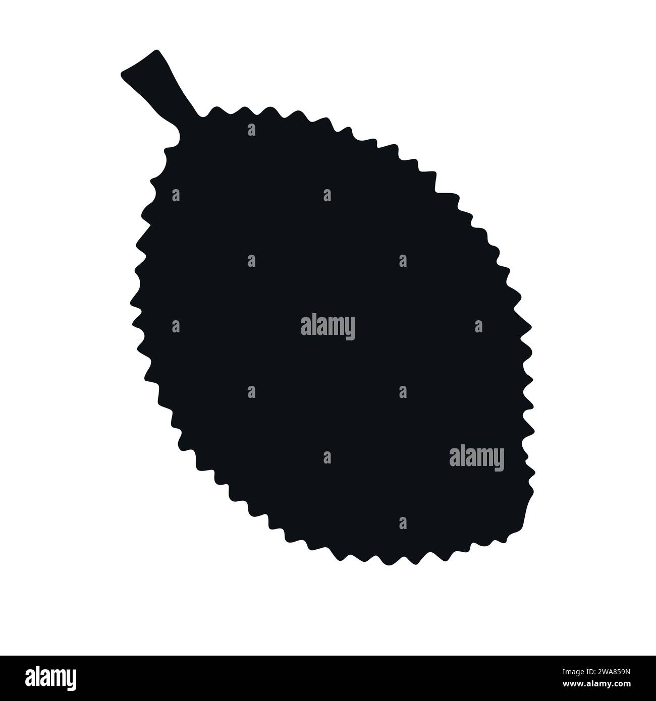 Vector hand drawn durian fruit silhouette isolated on white background ...