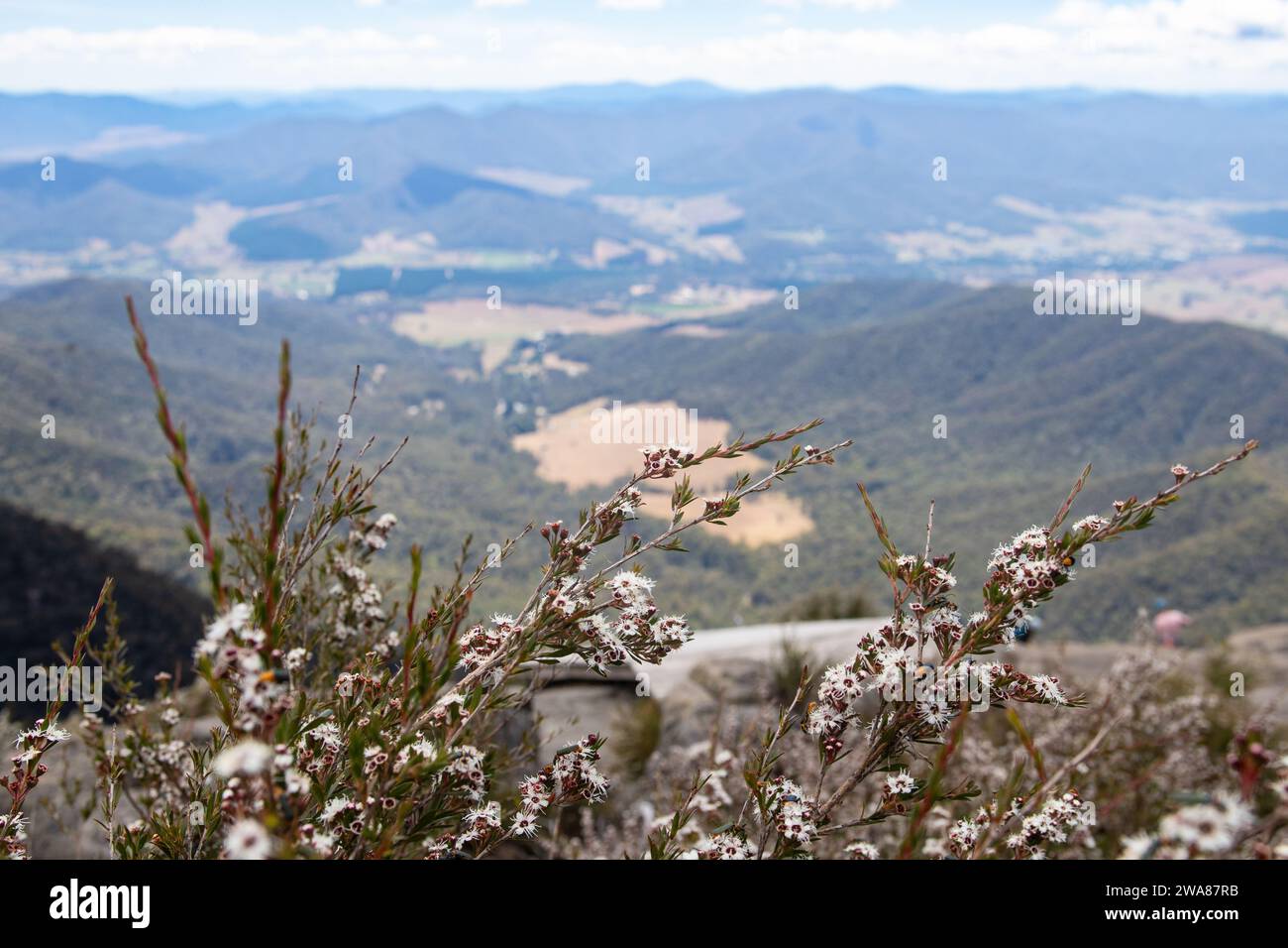 Scenic views across the Victorian Alps from on top of Mount Buffalo ...