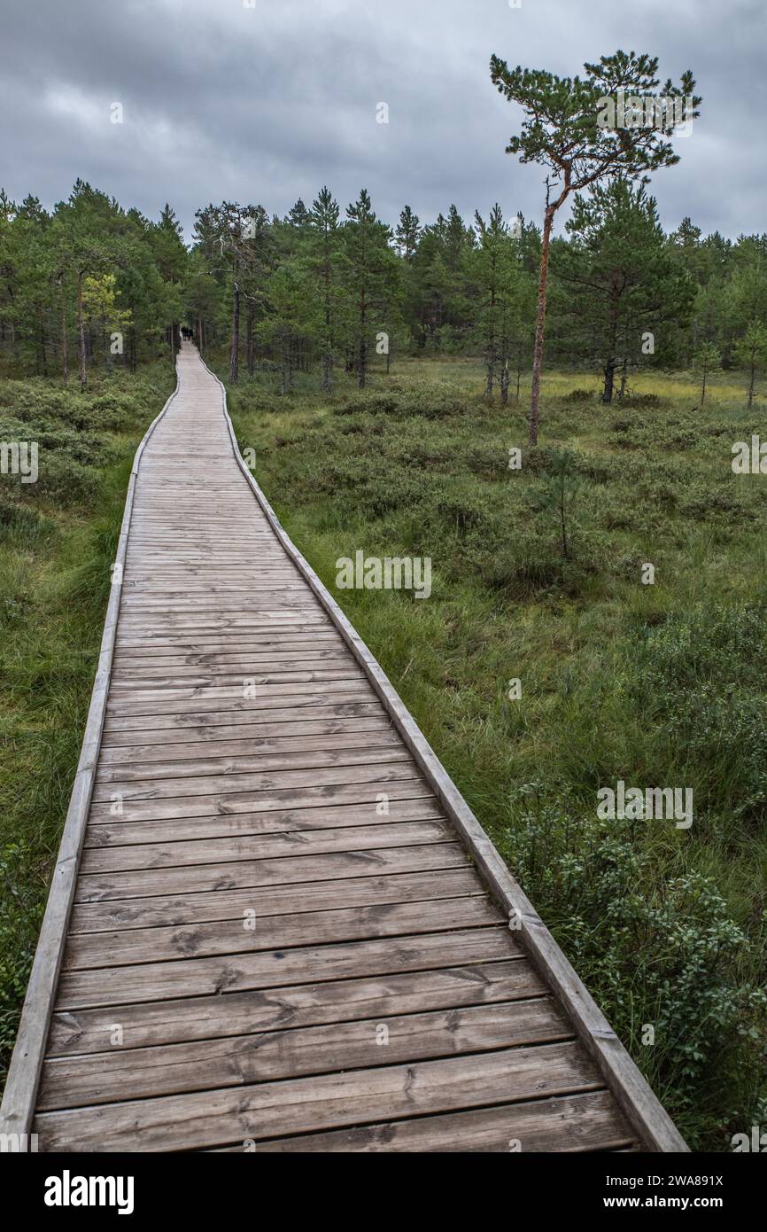 Comte de harju hi-res stock photography and images - Alamy