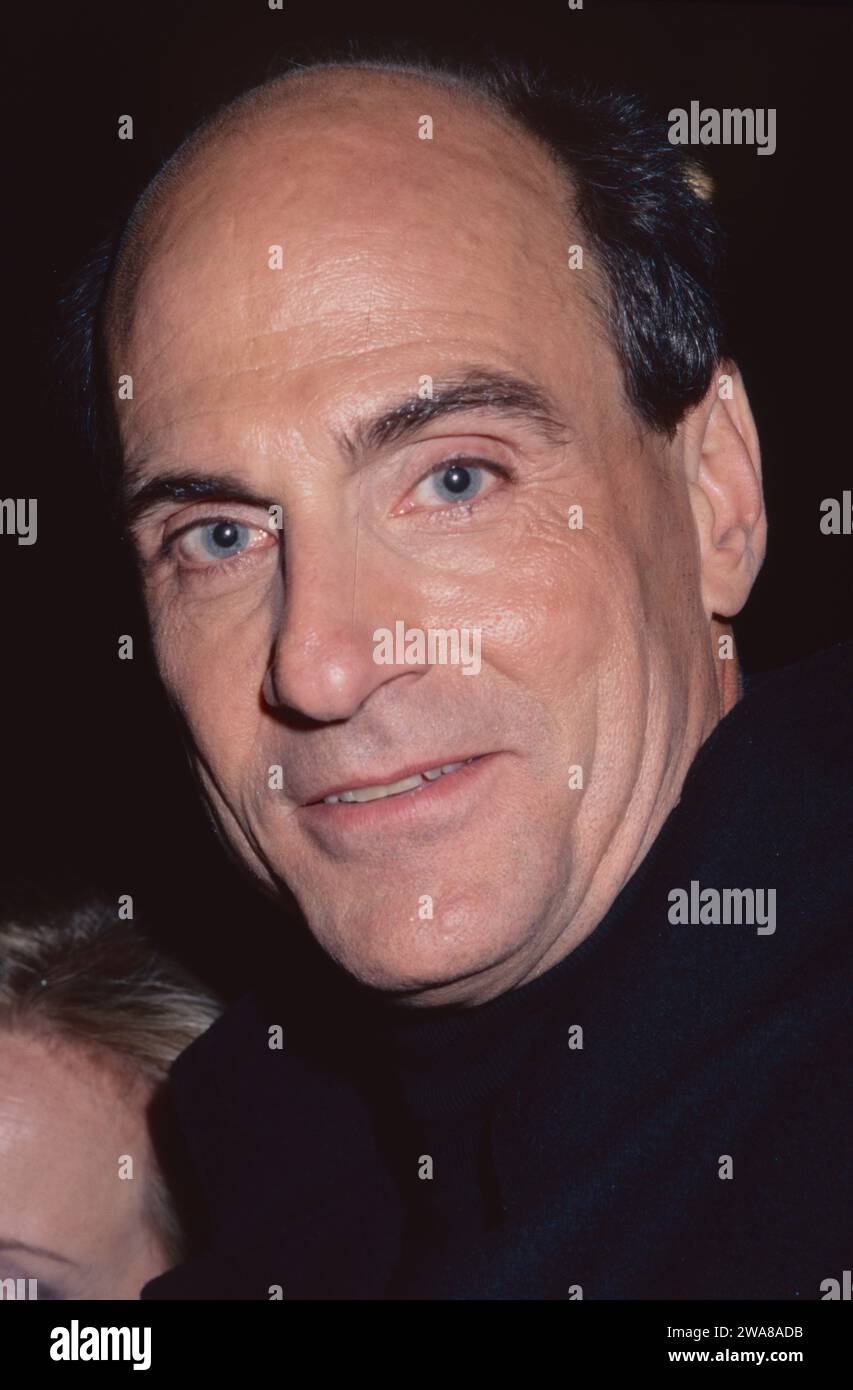 James Taylor attends the after-party for the Rainforest Foundation ...