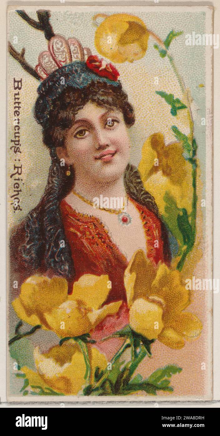 Buttercups: Riches, from the series Floral Beauties and Language of ...