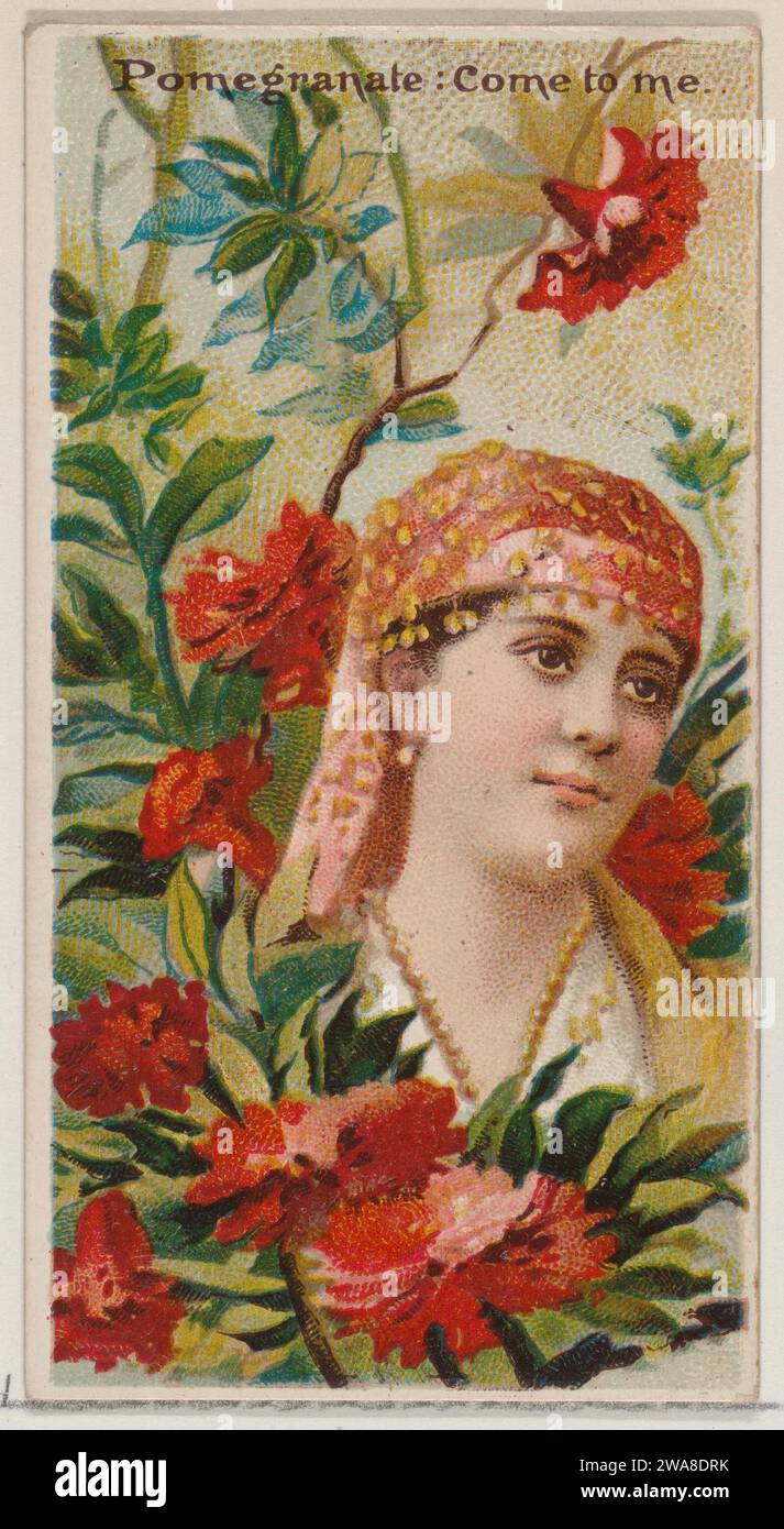 Pomegranate: Come to Me, from the series Floral Beauties and Language ...