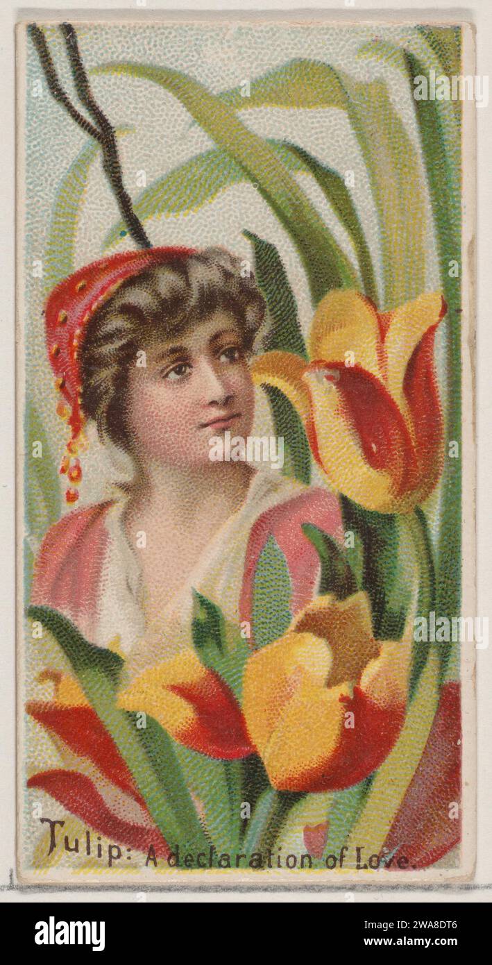 Tulip: A Declaration of Love, from the series Floral Beauties and ...