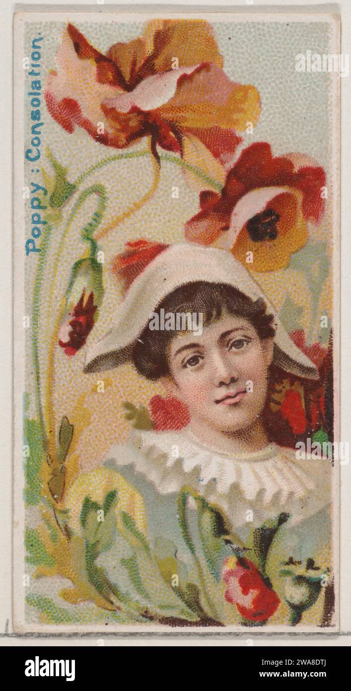 Floral beauties and language of flowers n75 hi-res stock photography ...