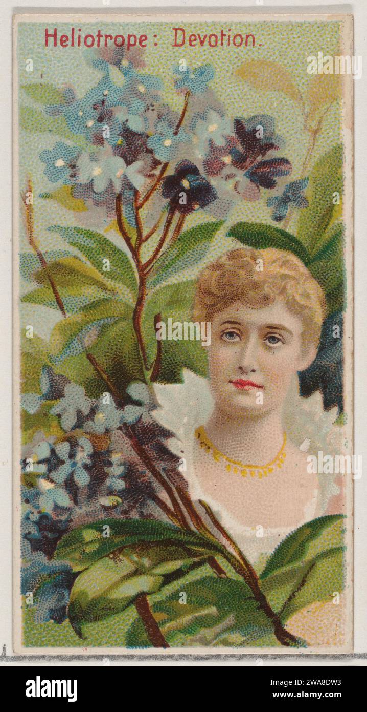 Floral beauties and language of flowers n75 hi-res stock photography ...