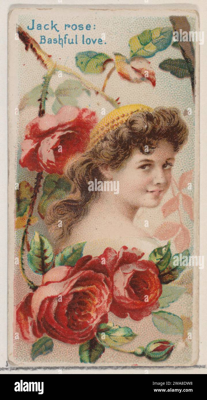 Jack Rose: Bashful Love, from the series Floral Beauties and Language ...