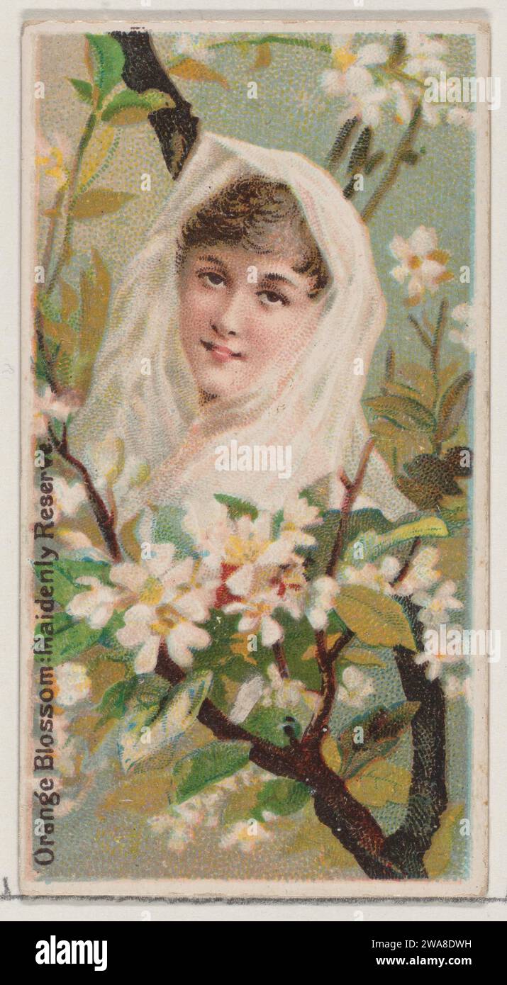 Maidenly reserve hi-res stock photography and images - Alamy