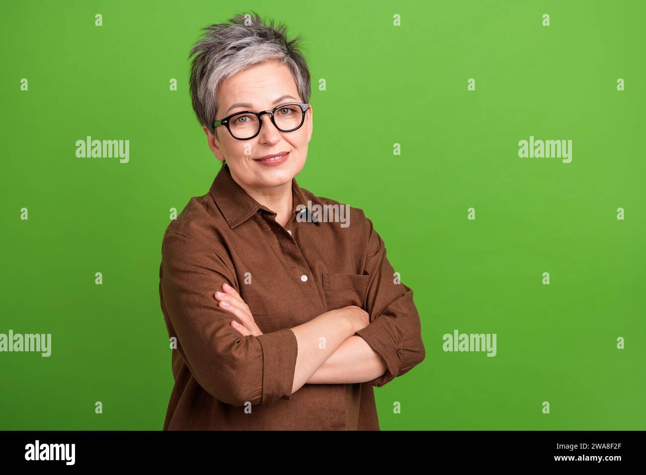 Portrait of intelligent clever smart person with white gray hairstyle in glasses hold hands ...