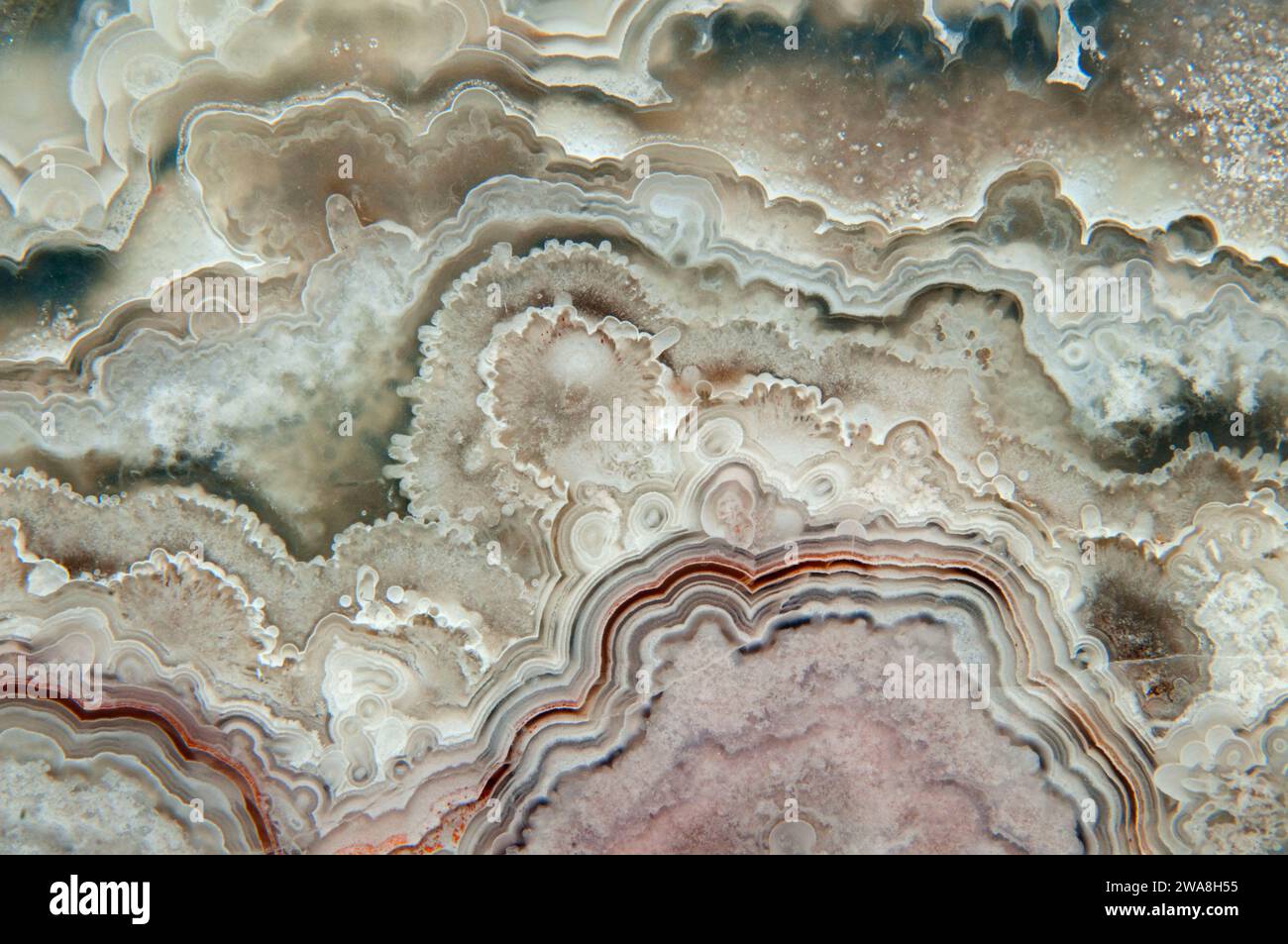 Mexican lace agate Stock Photo - Alamy
