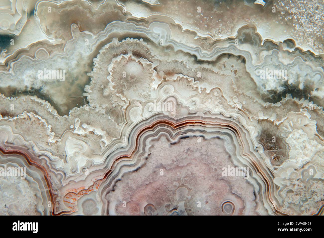 Mexican lace agate Stock Photo - Alamy