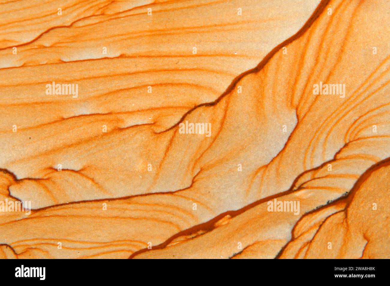 Picture jasper hi-res stock photography and images - Alamy