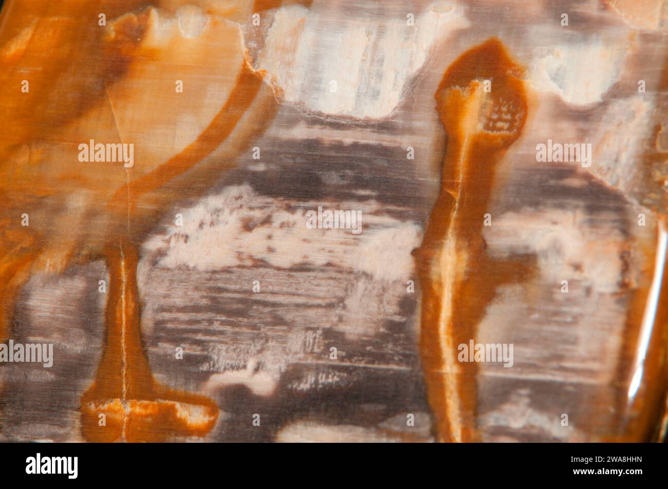 Crabtree valley hi-res stock photography and images - Alamy