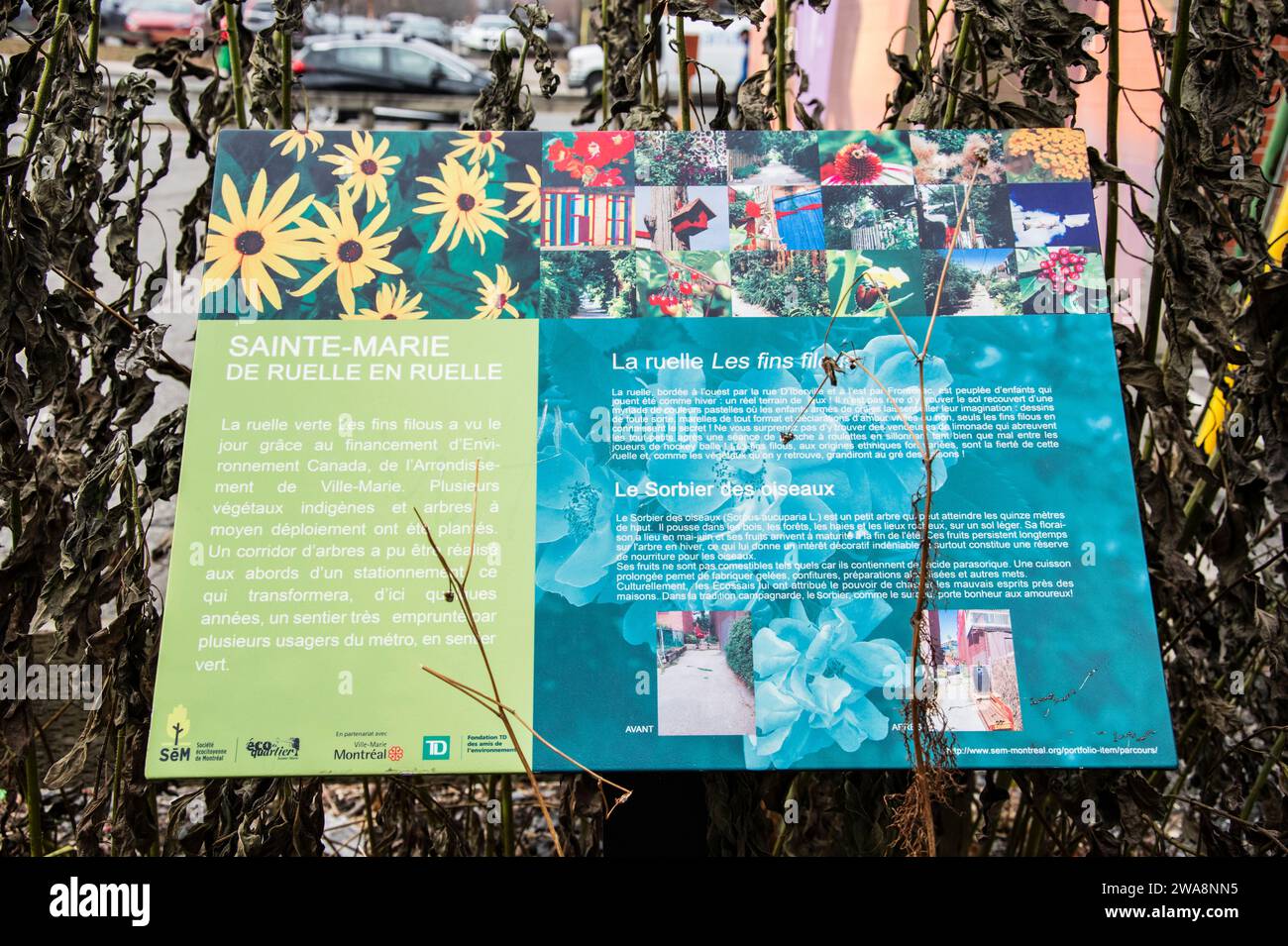 Saint Marie alley to alley sign promoting green space in alleys in ...