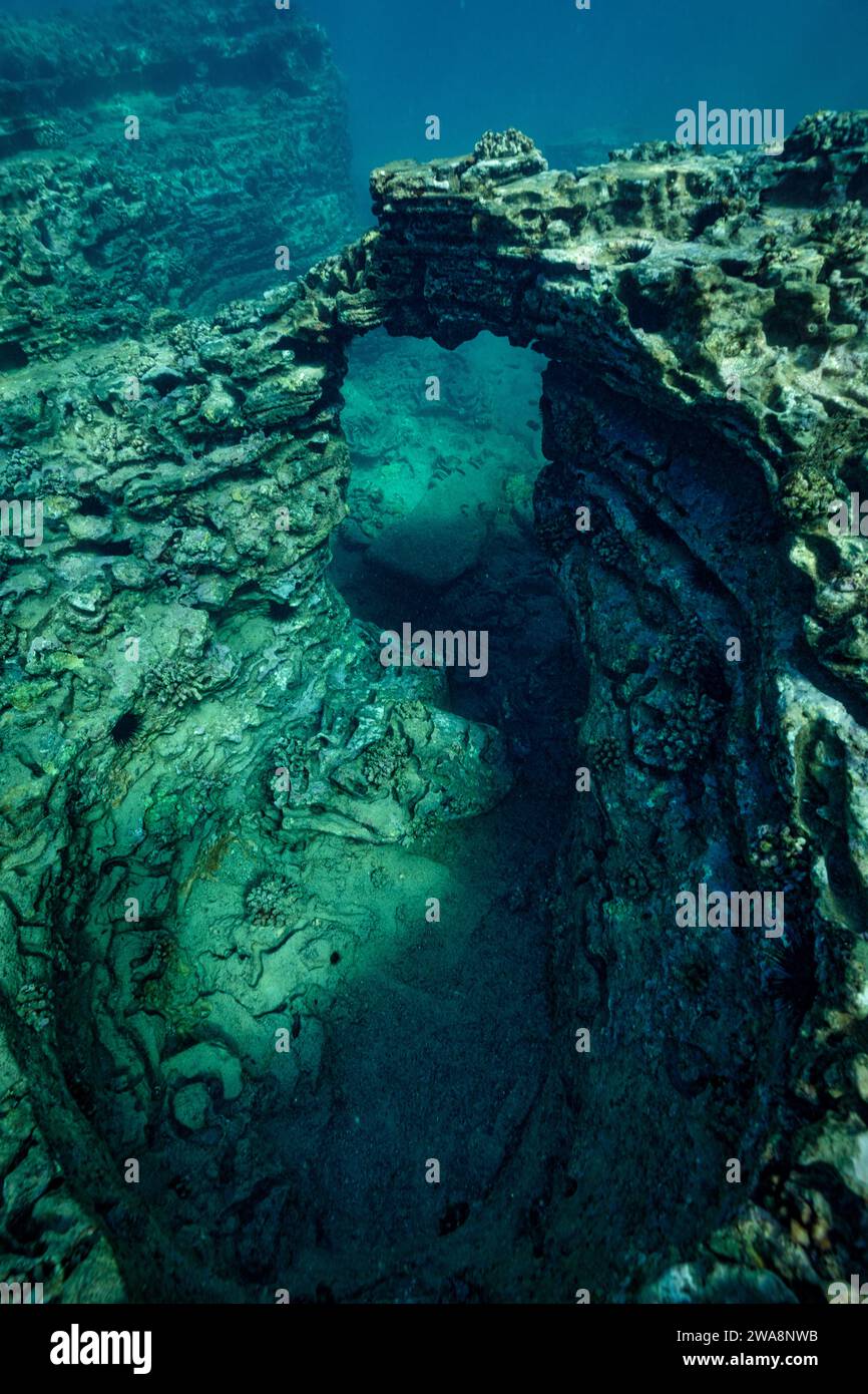 A natural undersea swim through and arch in the clear blue waters of ...