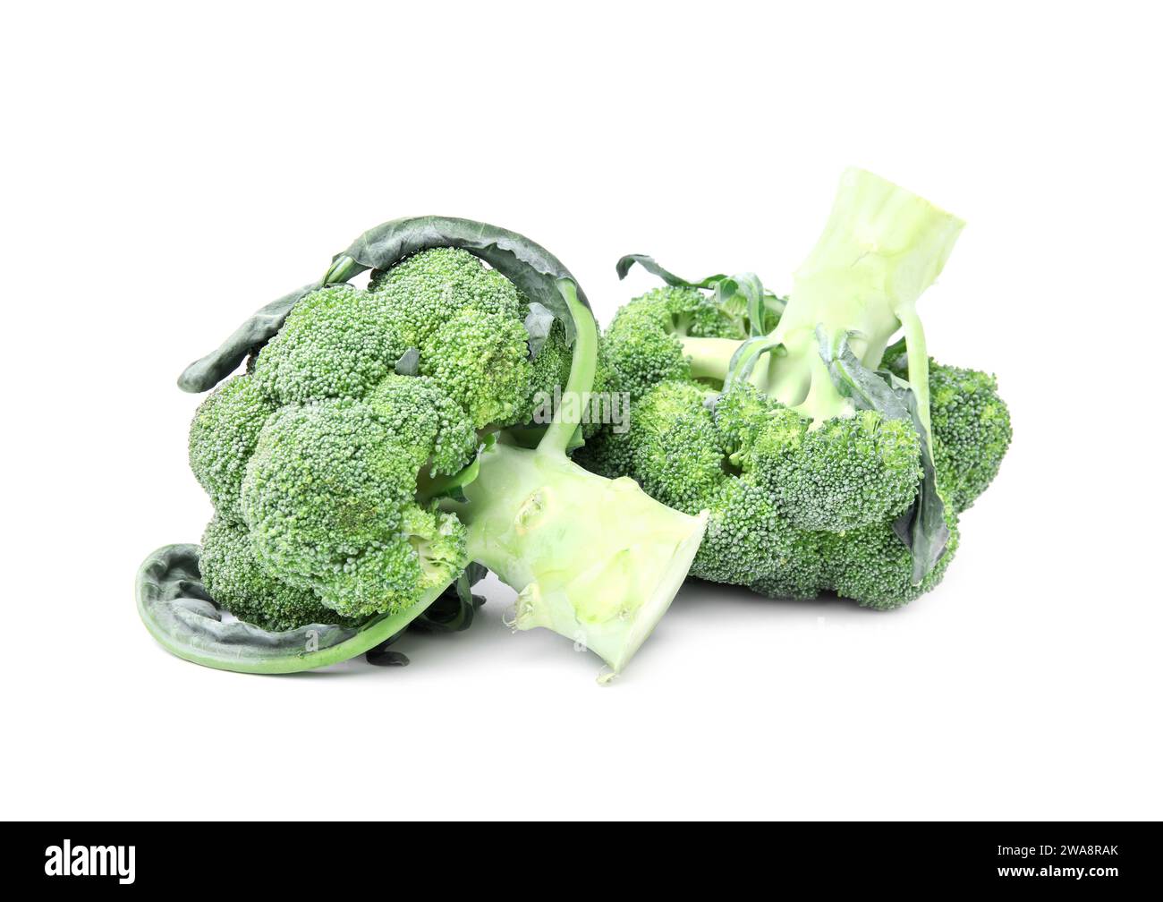 Two green broccoli on Cut Out Stock Images & Pictures - Alamy