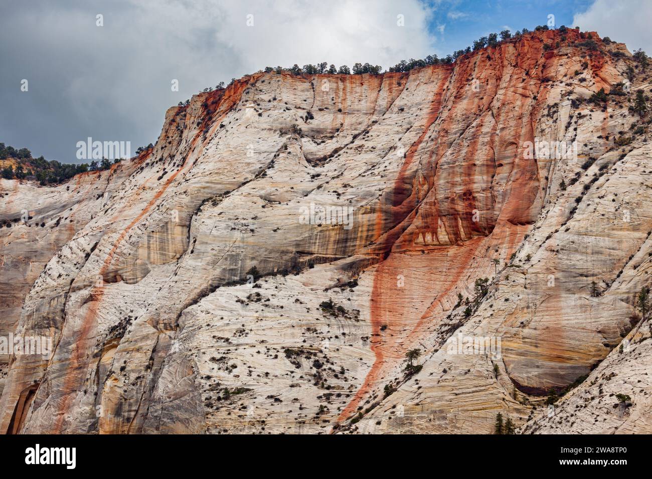 Iron and minerals combine with precipitation to form red trails down ...