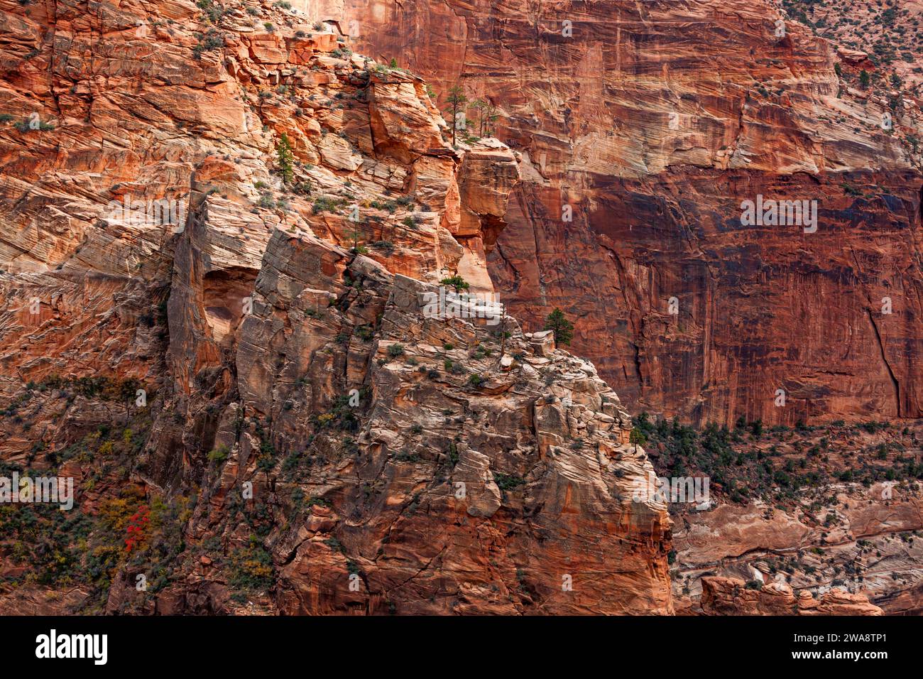 Layered and colorful canyon walls showing erosion details and resilient ...