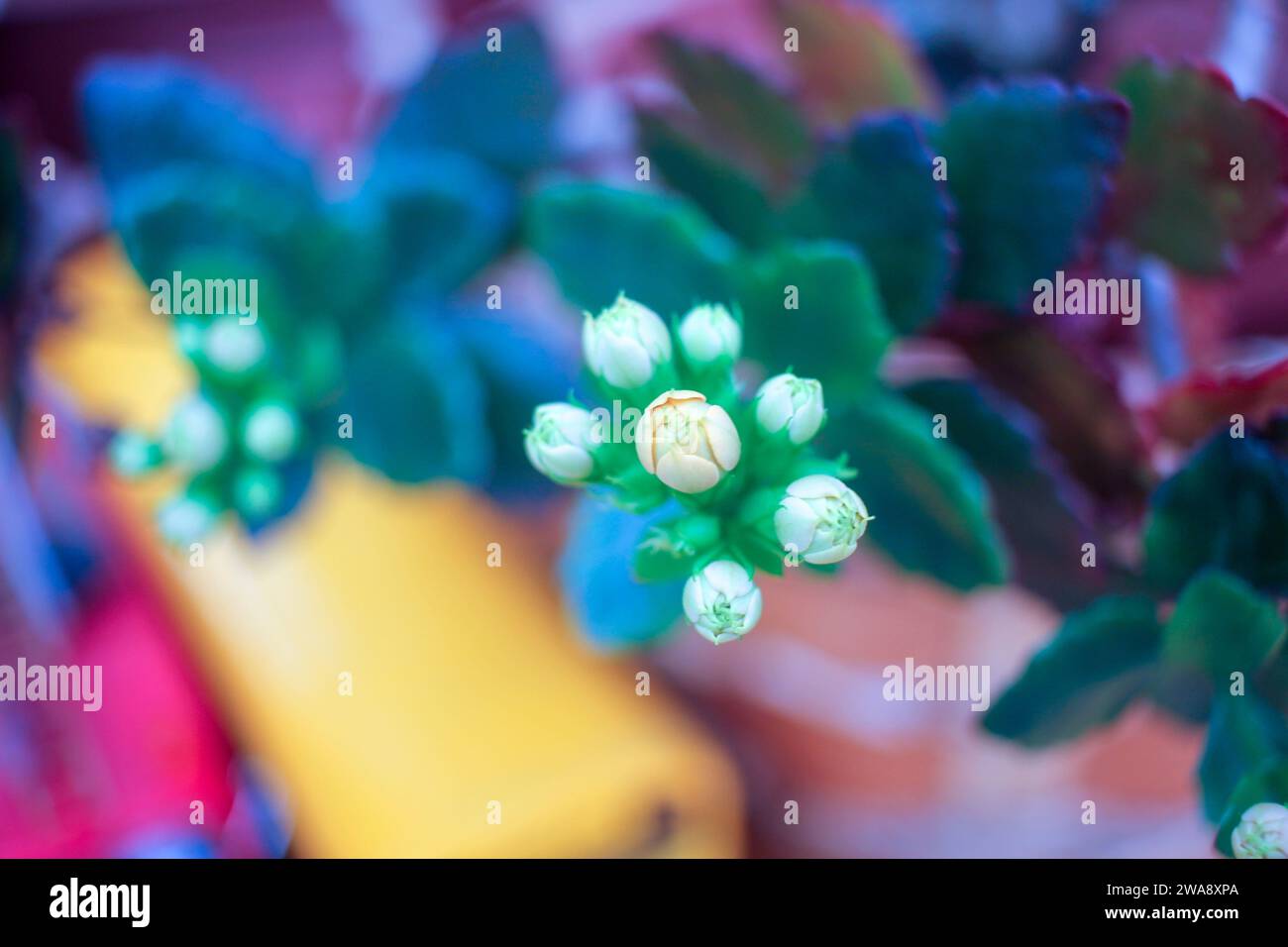 Spring starts hi-res stock photography and images - Alamy