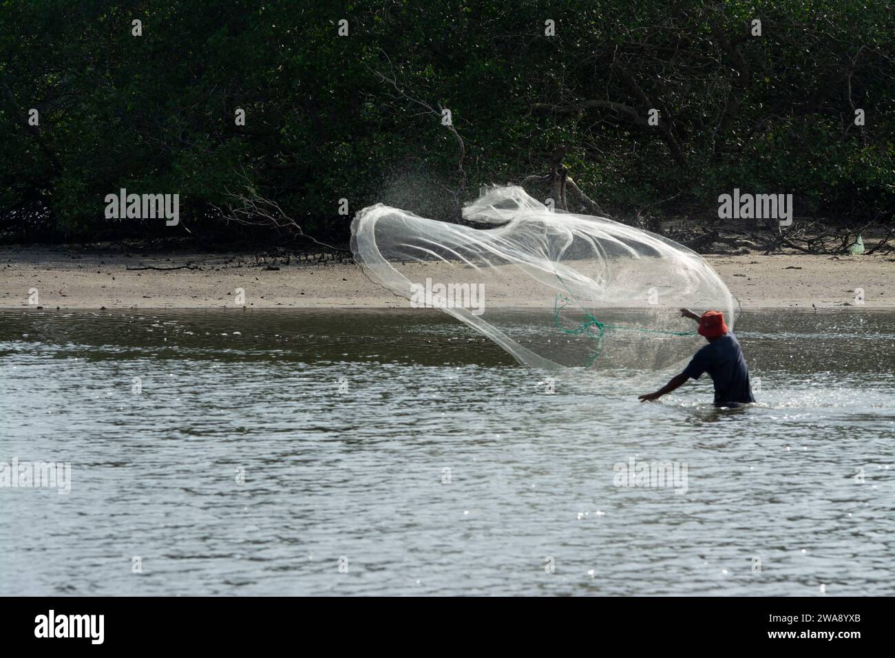 unrecognizable fisherman from the distance shore,throwing fishing net ...